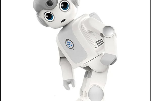 Companion Robot Price Guide 2026 — How Much Does a Companion Robot Cost ...